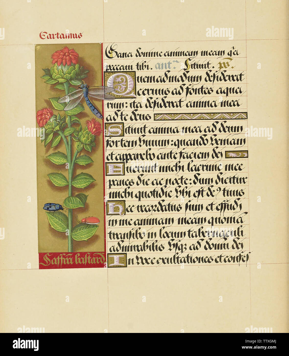 Manuscript booknuscript book Stock Photo - Alamy