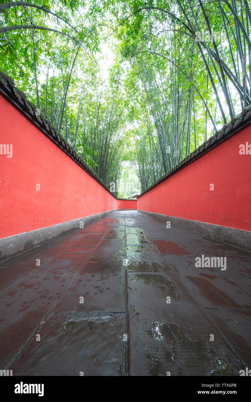 Red Wall and Bamboo Forest in Wuhou Temple Museum in Chengdu Stock ...