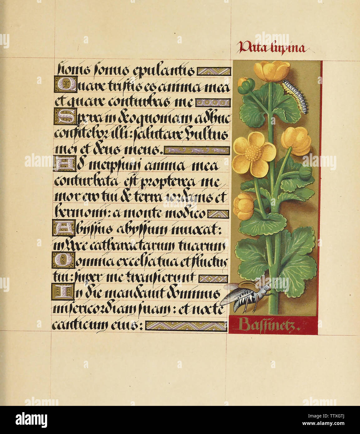 Illegible manuscript book hi-res stock photography and images - Alamy