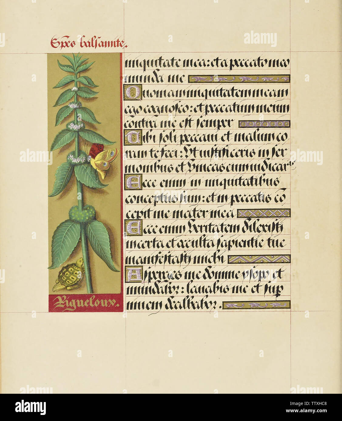 Illegible manuscript book hi-res stock photography and images - Alamy