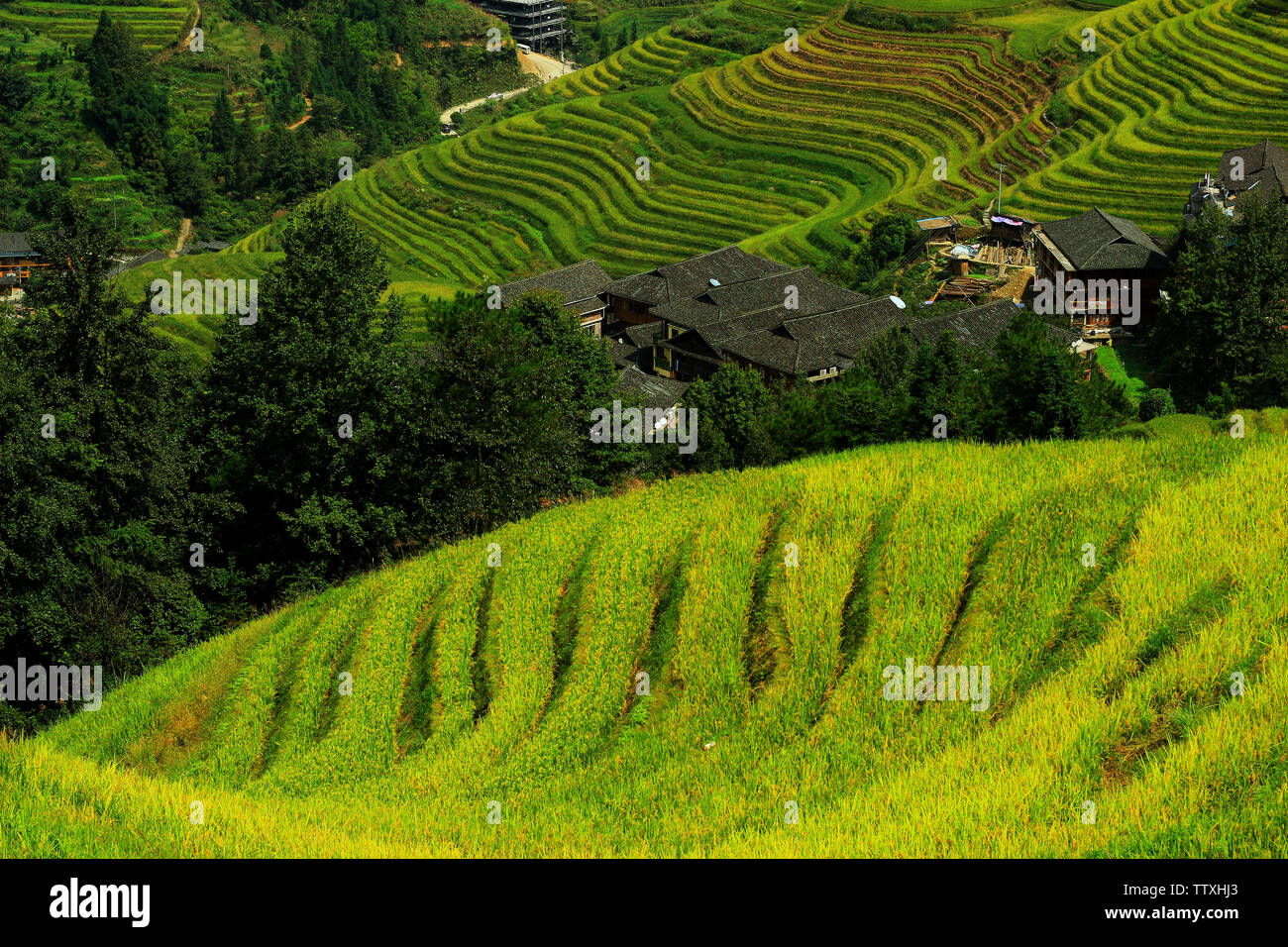 Terraced courtyards hi-res stock photography and images - Alamy