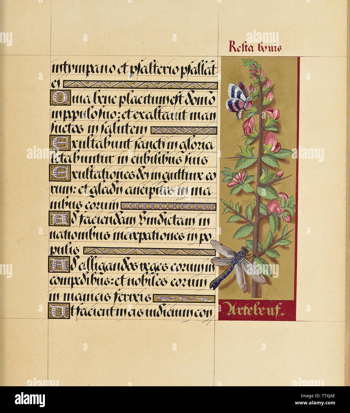 Manuscript booknuscript book Stock Photo - Alamy