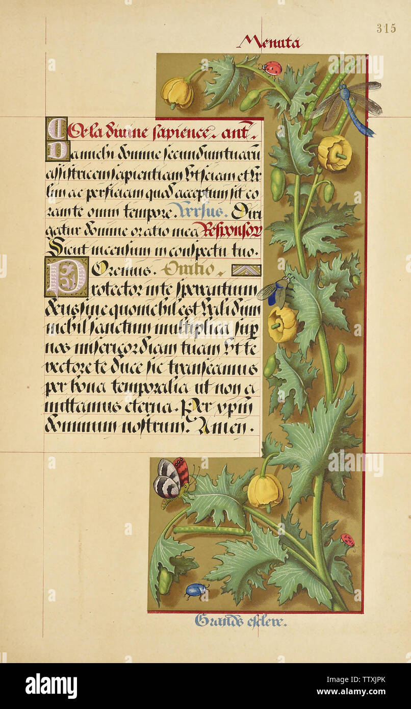 Manuscript booknuscript book Stock Photo - Alamy