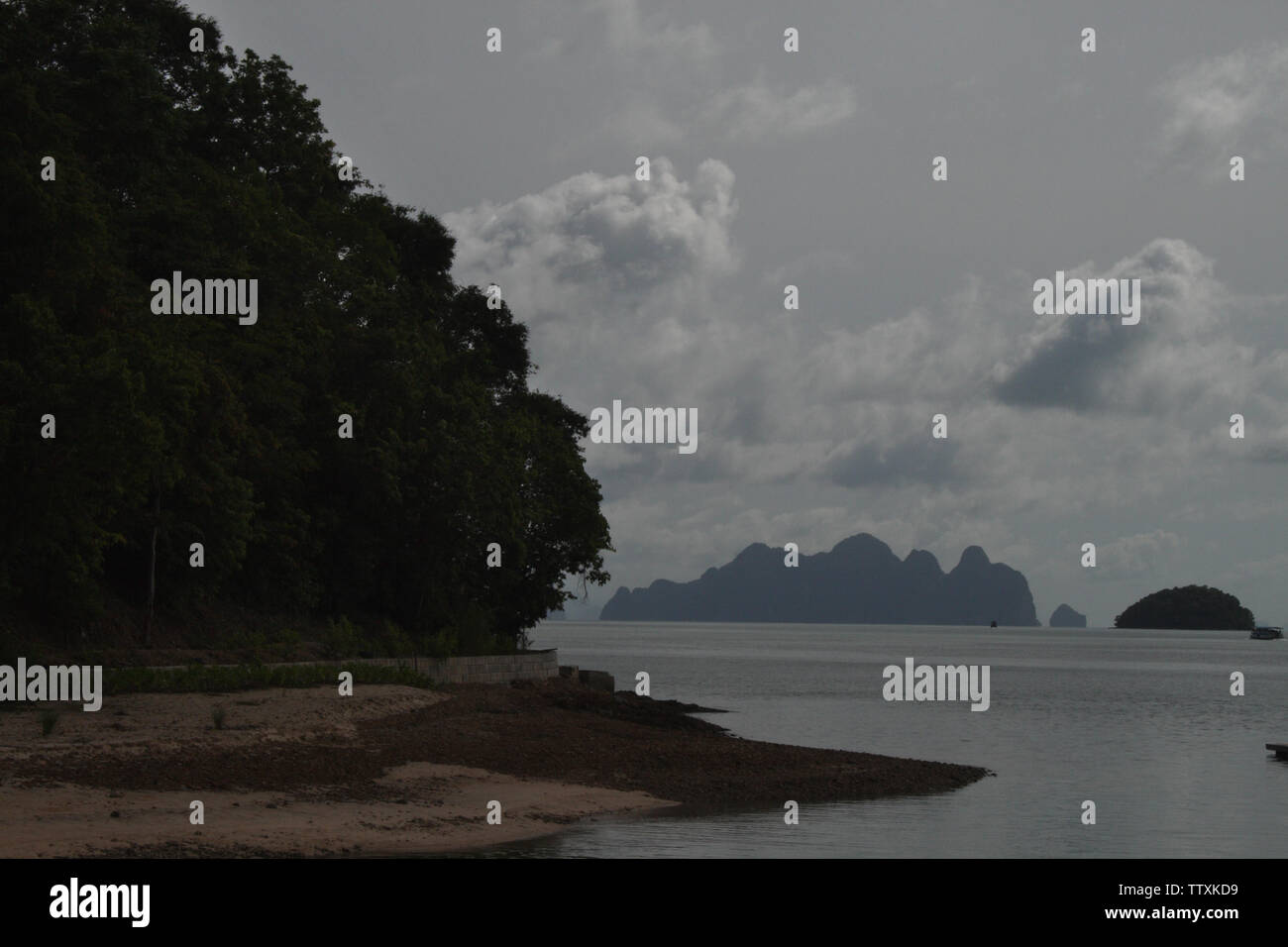 Trees on the coast, Phang Nga Bay, Phuket, Thailand Stock Photo - Alamy