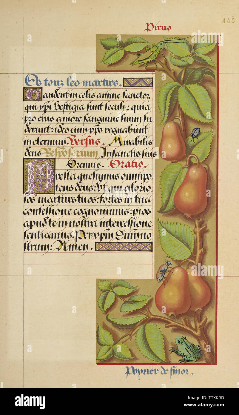 Illegible manuscript book hi-res stock photography and images - Alamy