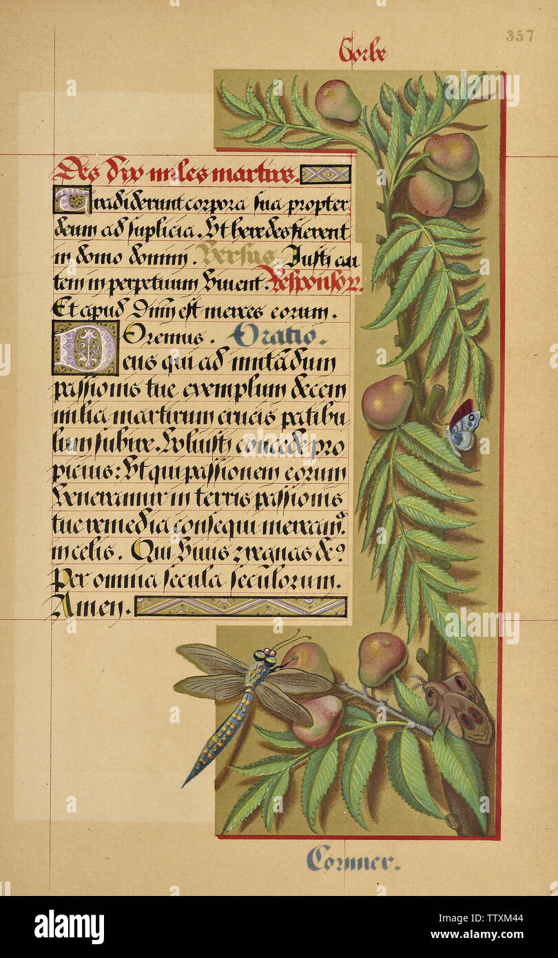 Manuscript booknuscript book Stock Photo - Alamy