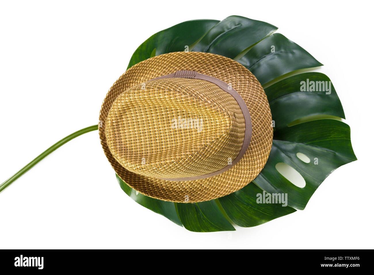 Top view tropical monstera Cut Out Stock Images & Pictures - Alamy