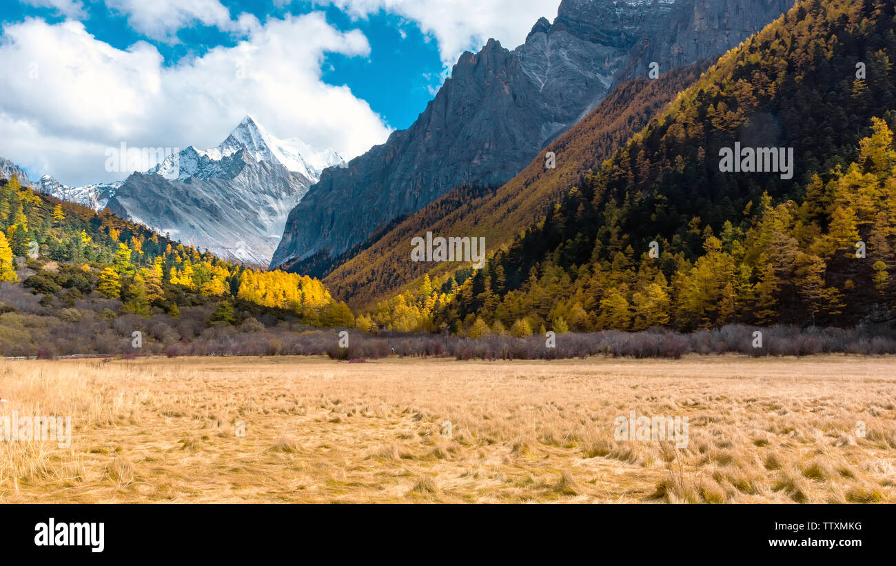 Rice city Aden autumn color Stock Photo - Alamy