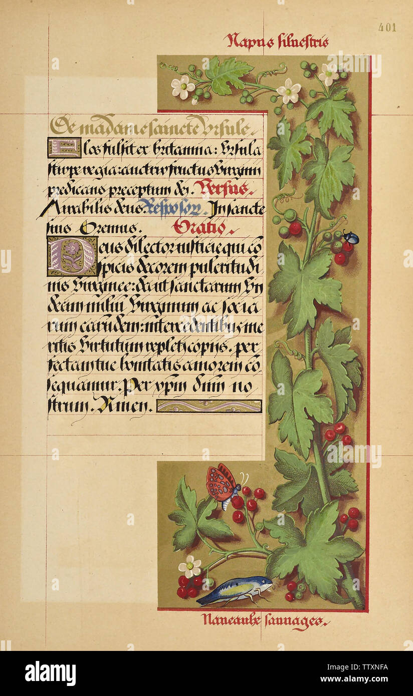 Illegible manuscript book hi-res stock photography and images - Alamy