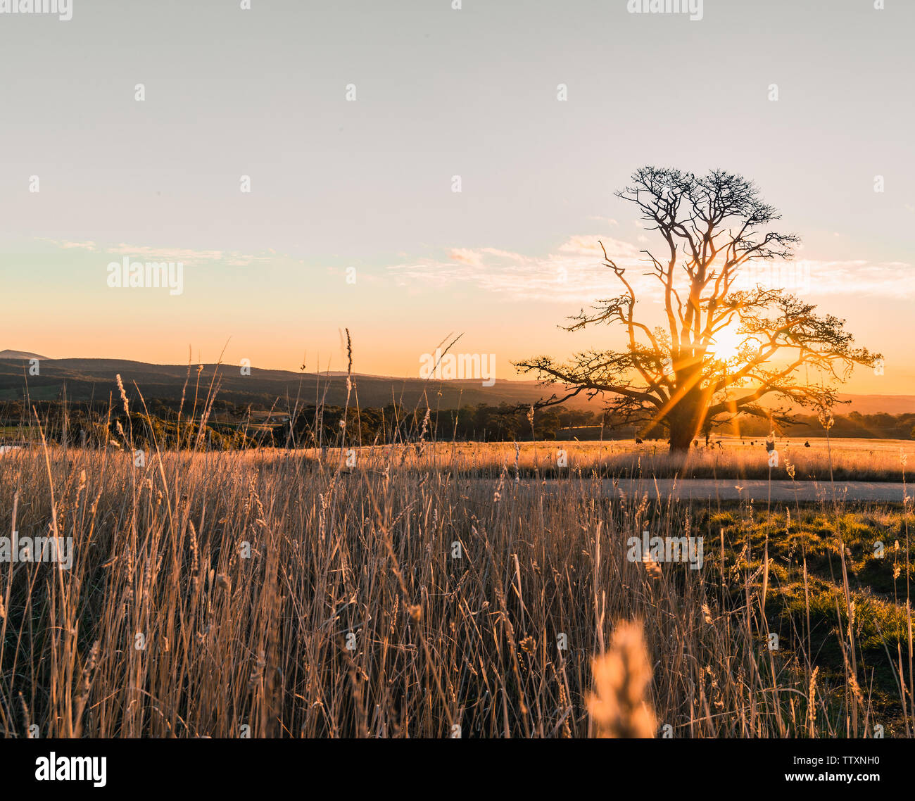 Hot summer sun hi-res stock photography and images - Alamy