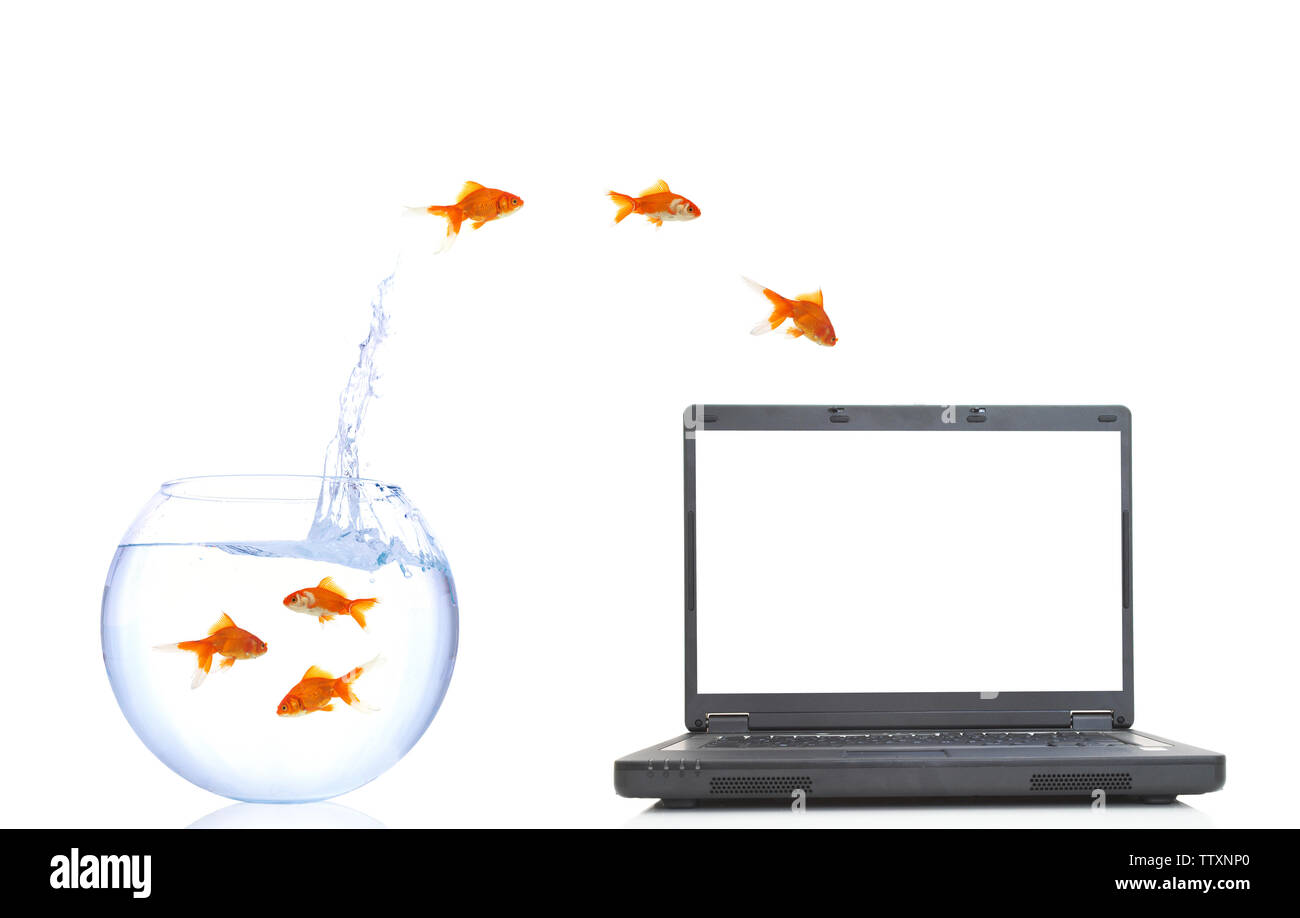 goldfishes jumping from fish bowl to the laptop Stock Photo - Alamy