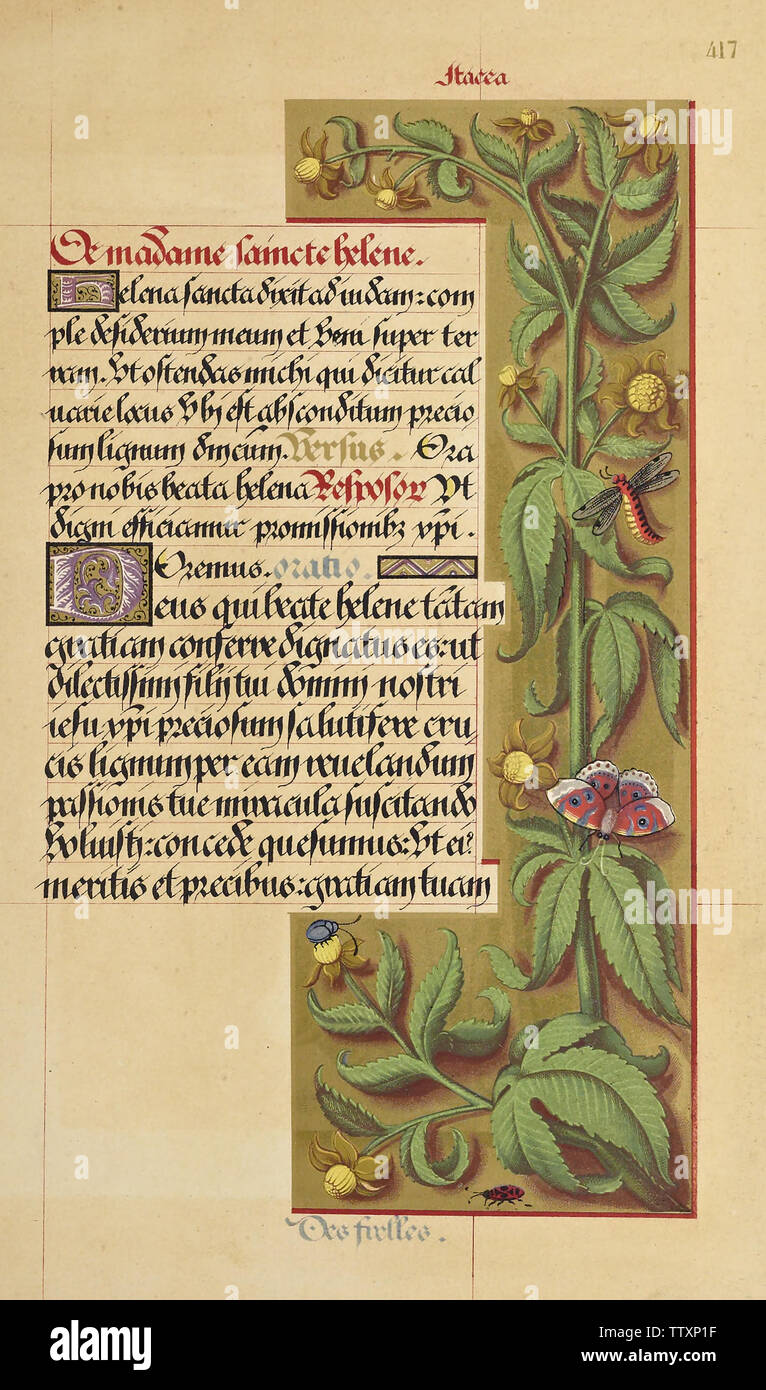 Manuscript booknuscript book Stock Photo - Alamy