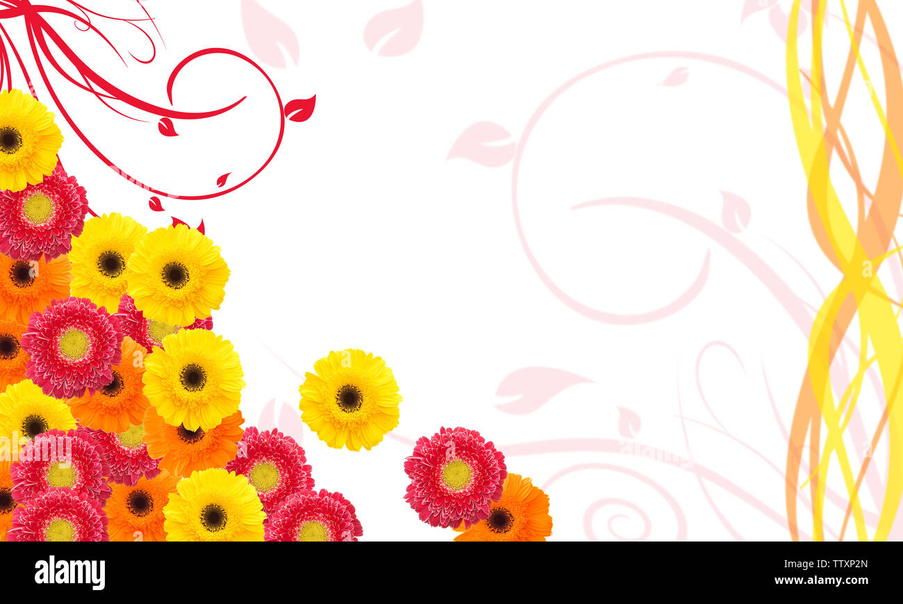colorful daisy flowers with vector ornaments for your designs and ...