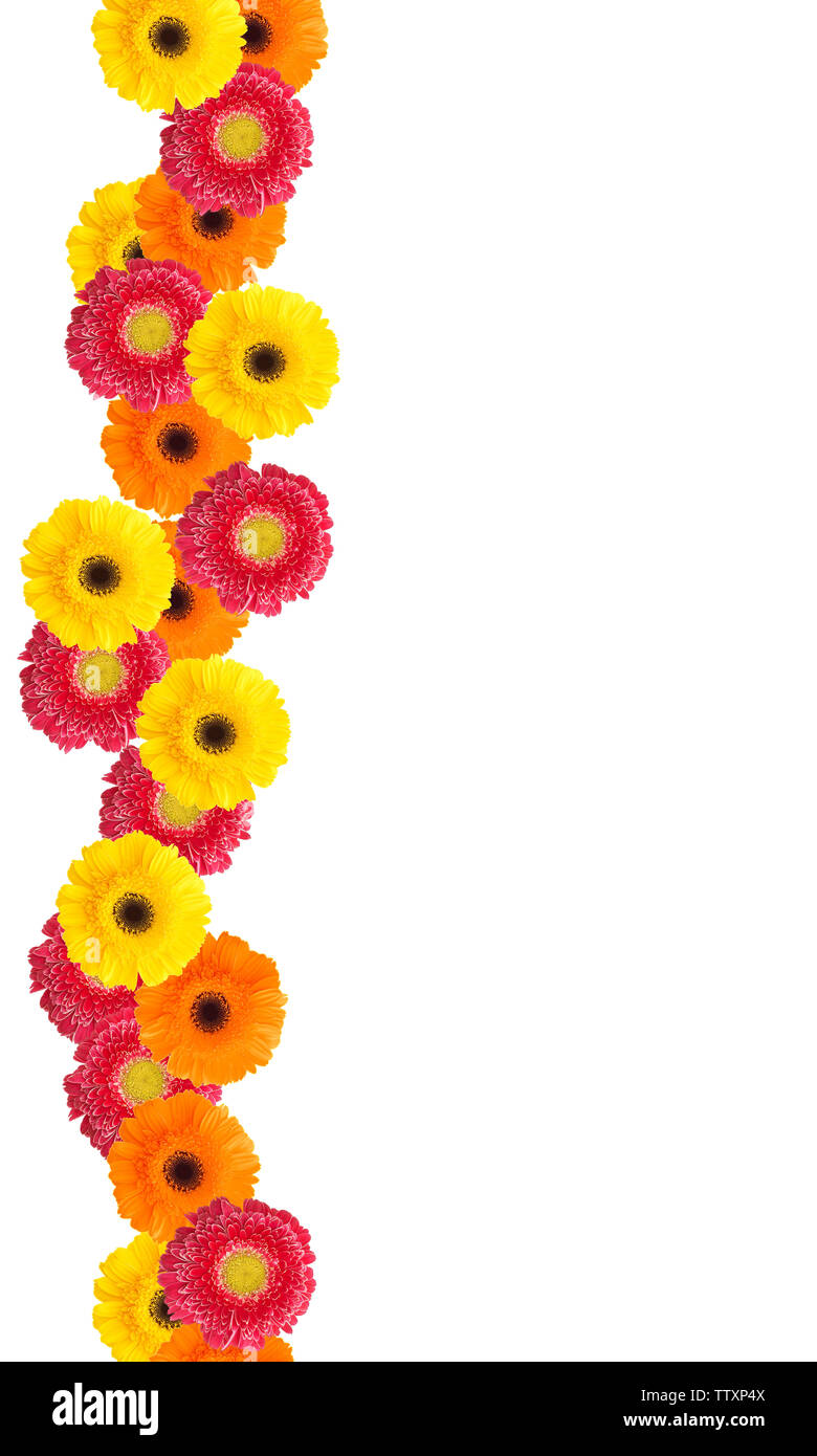 colorful daisy flowers border for your designs and messages Stock Photo ...