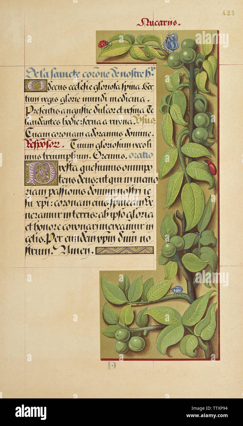 Illegible manuscript book hi-res stock photography and images - Alamy