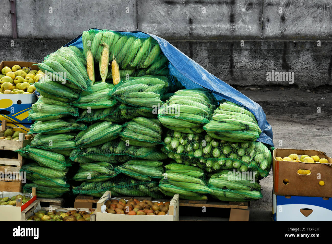 Fresh corn cobs on wholesale market Stock Photo - Alamy