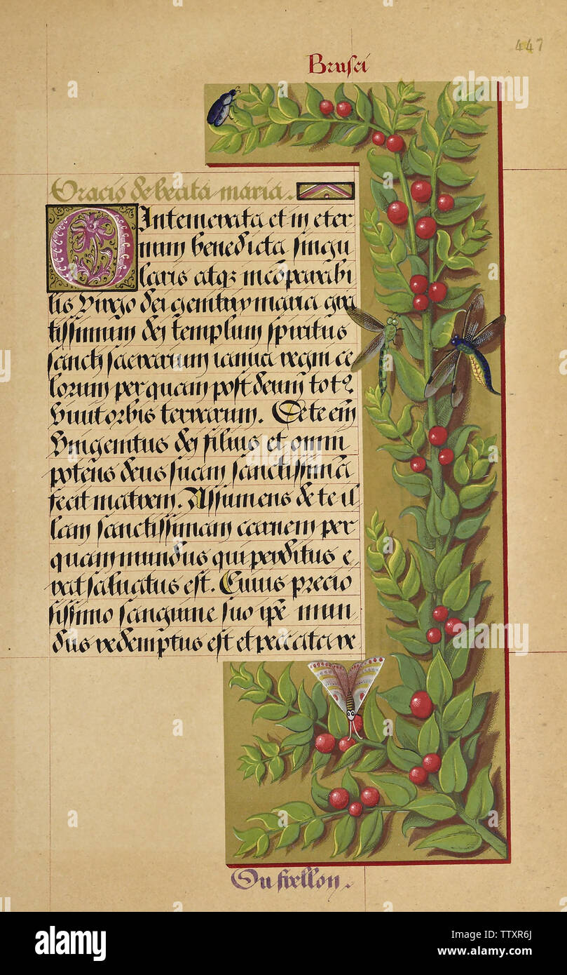 Manuscript booknuscript book Stock Photo - Alamy