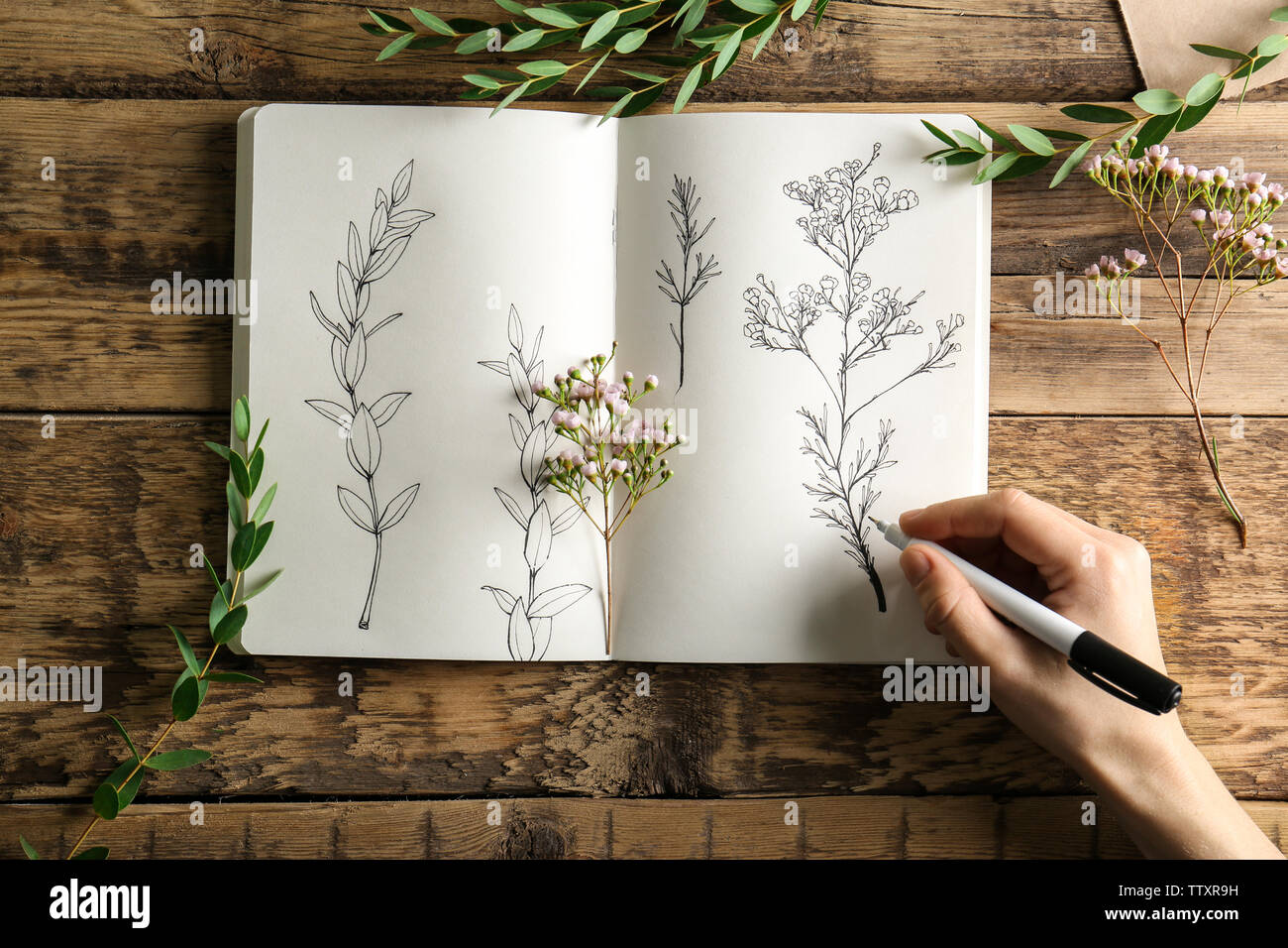 Hand drawing plants notebook hi-res stock photography and images - Alamy