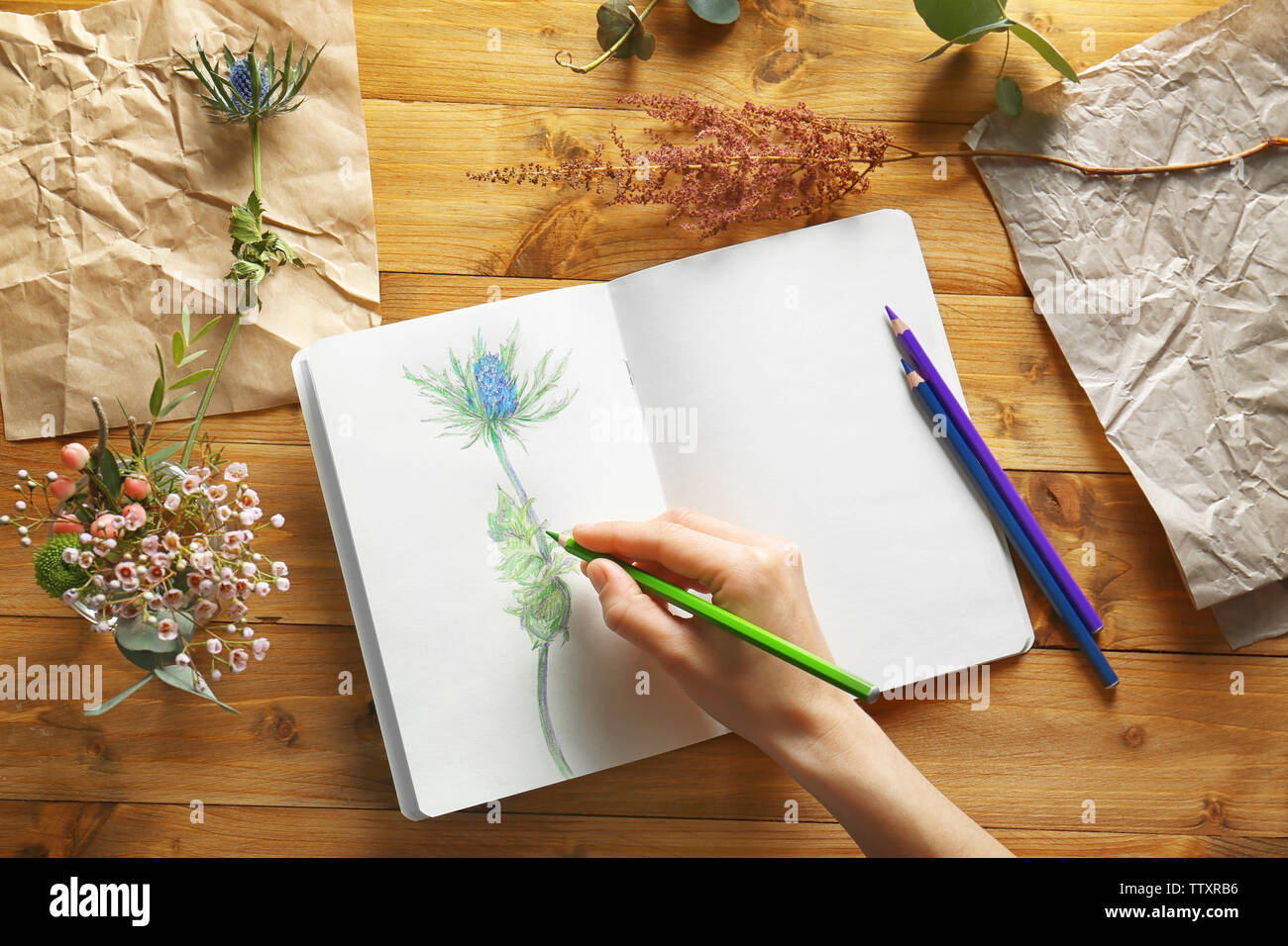 Female hand drawing plant in sketchbook on wooden background Stock ...