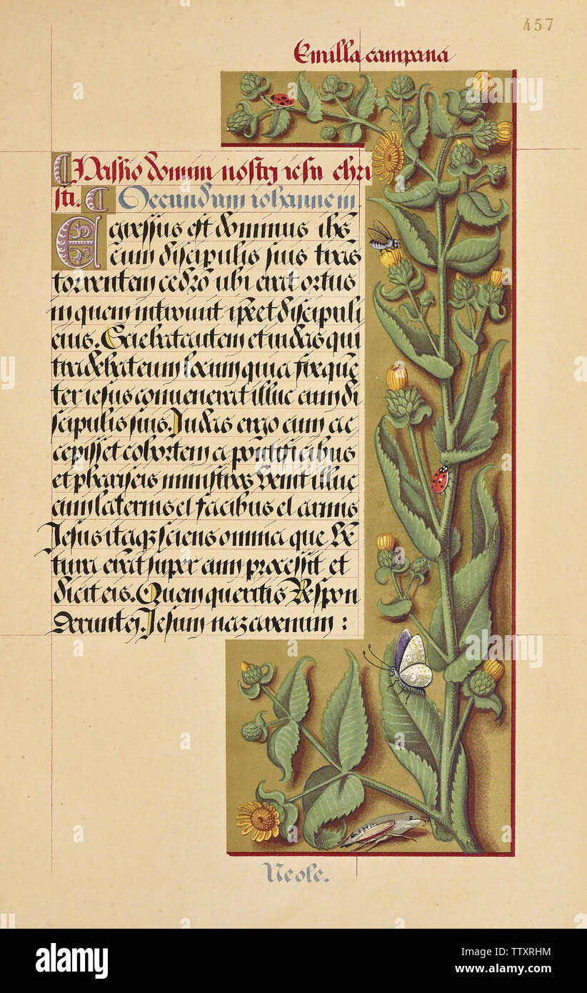 Manuscript booknuscript book Stock Photo - Alamy