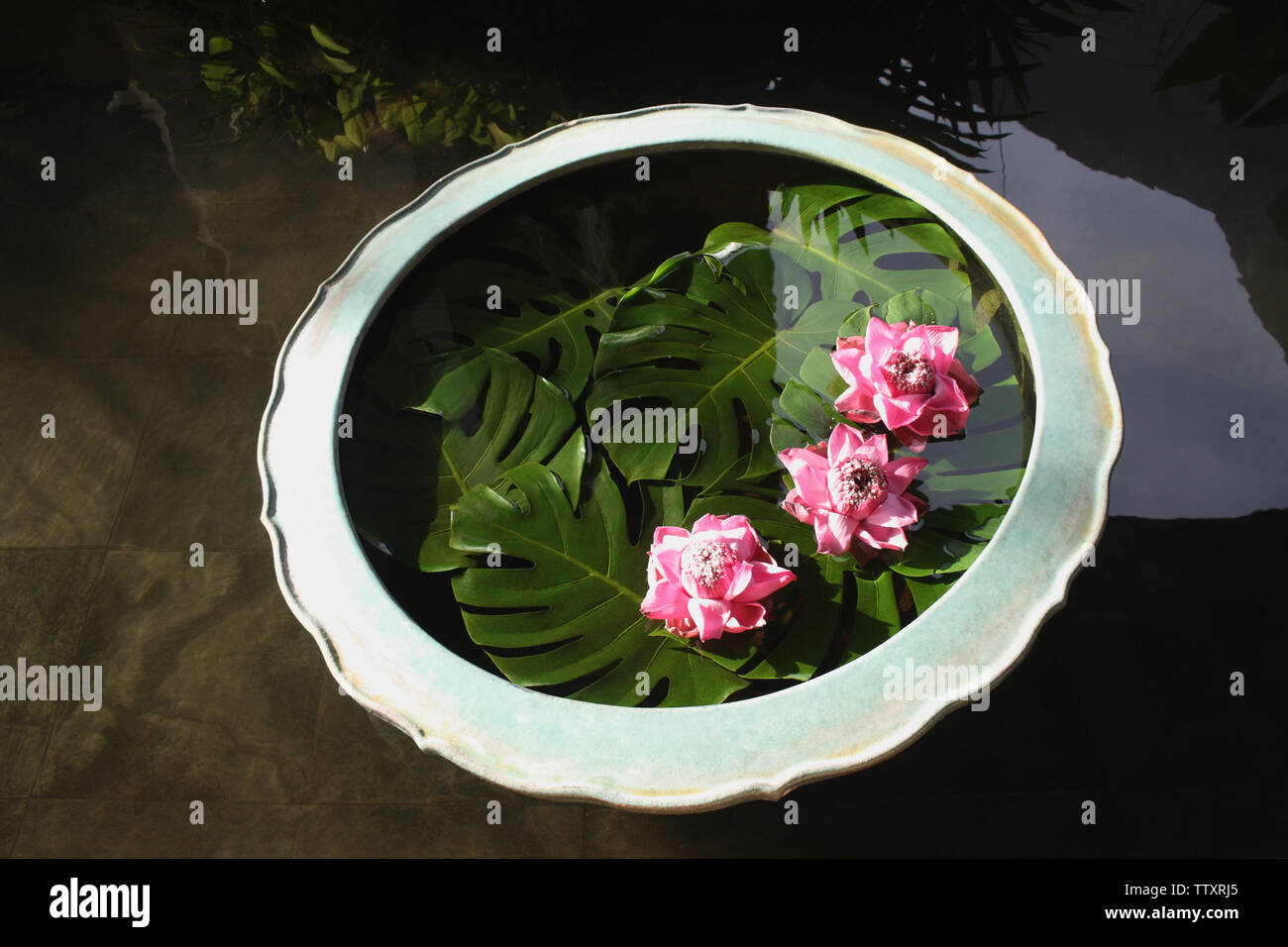 Lotus flowers in a decorative bowl, Phuket, Thailand Stock Photo - Alamy