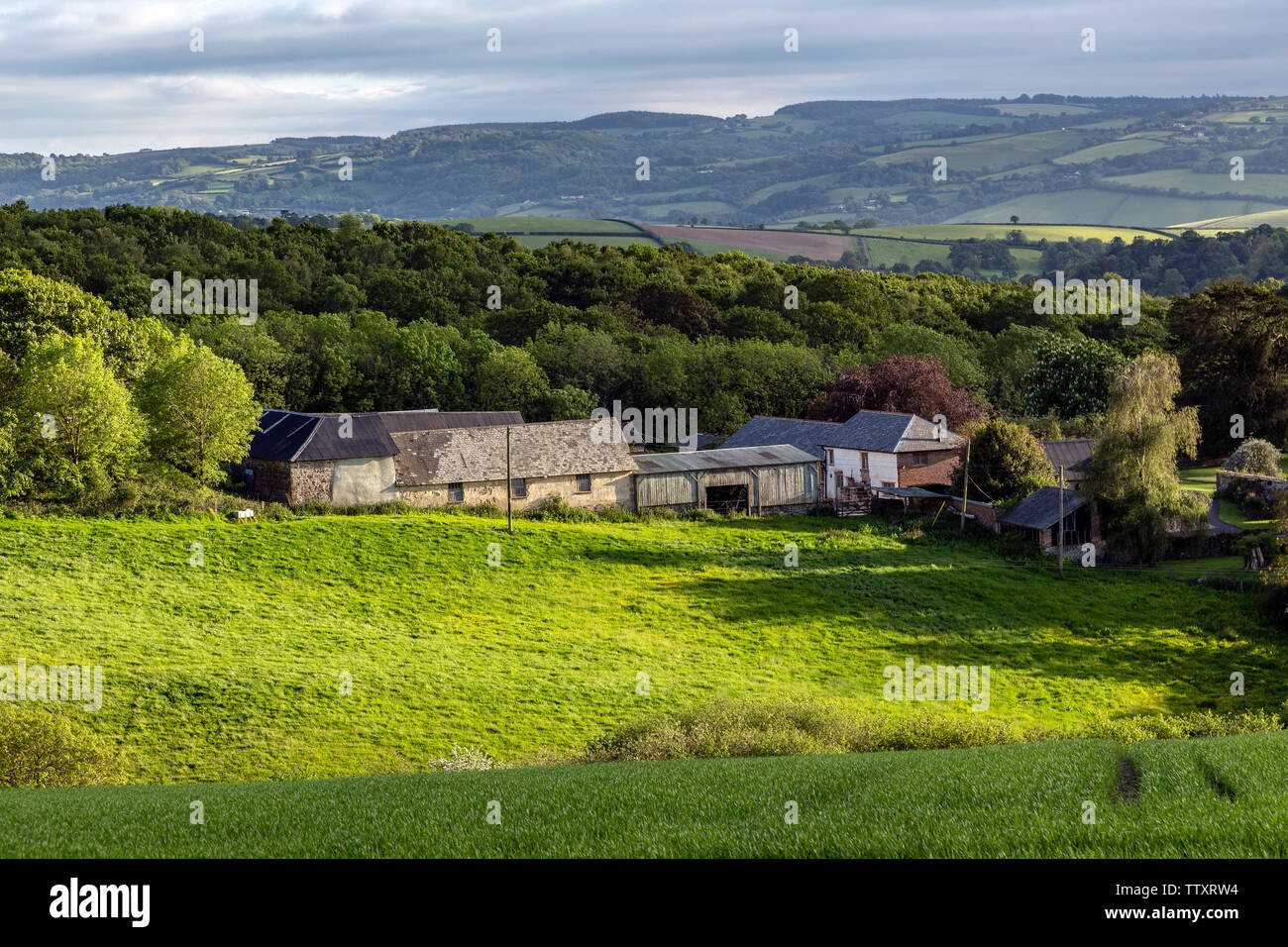 Farm, Devon, Agricultural Field, Agriculture, Animal, Blue, Cloud - Sky ...