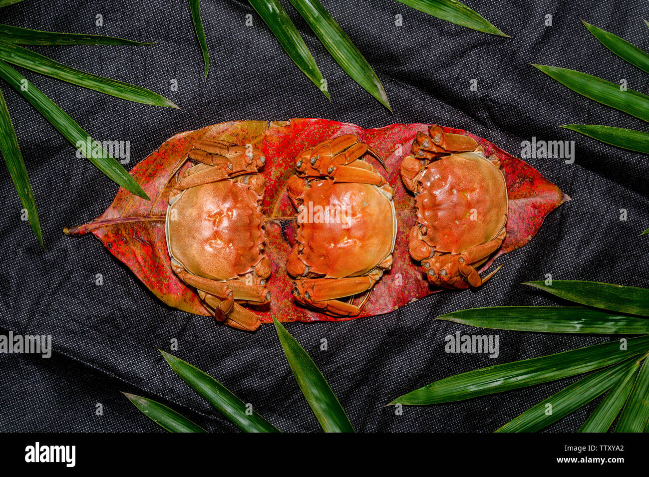 Steamed crab leaves hi-res stock photography and images - Alamy