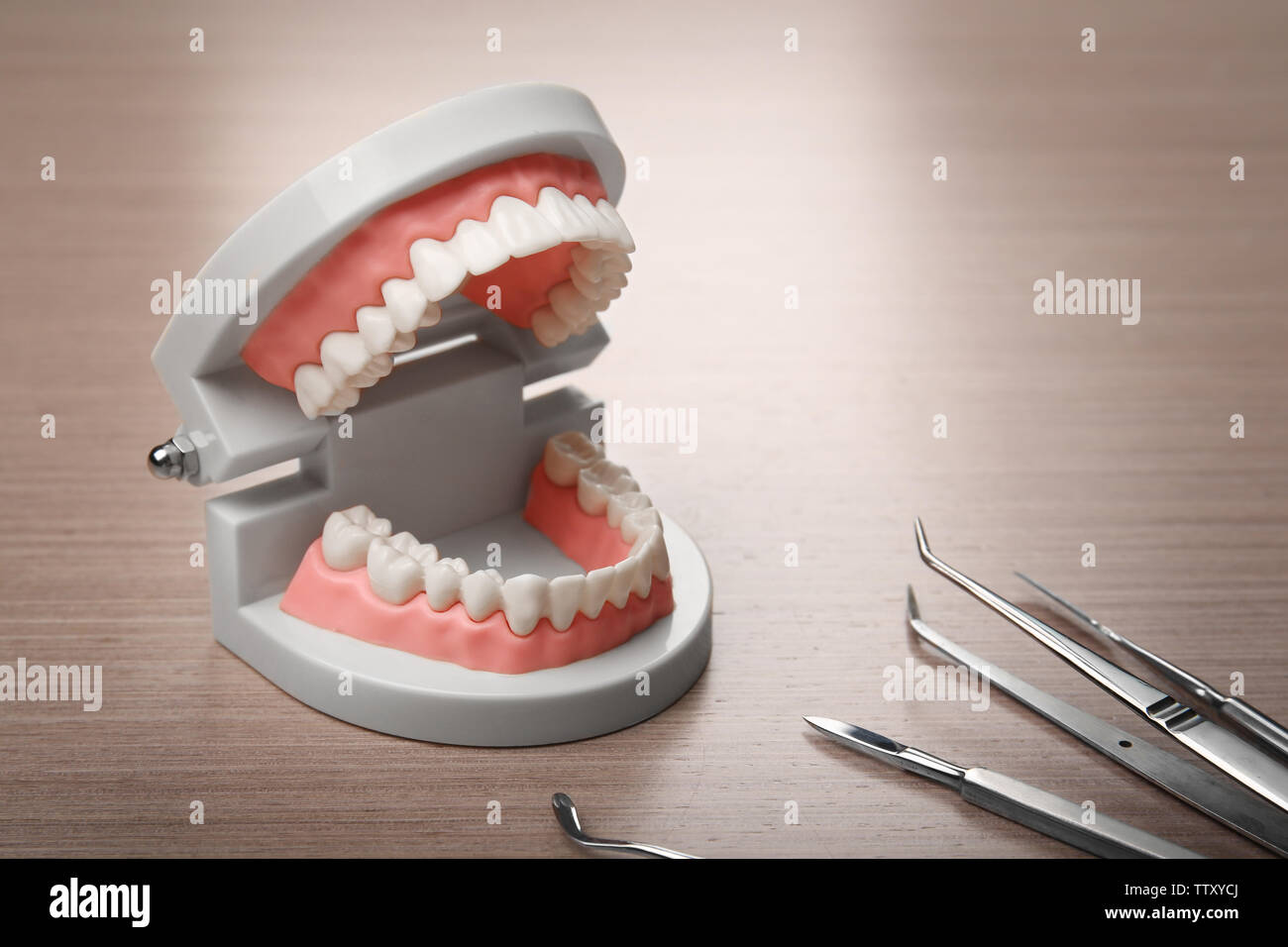Dental jaw model and tools on wooden background Stock Photo - Alamy
