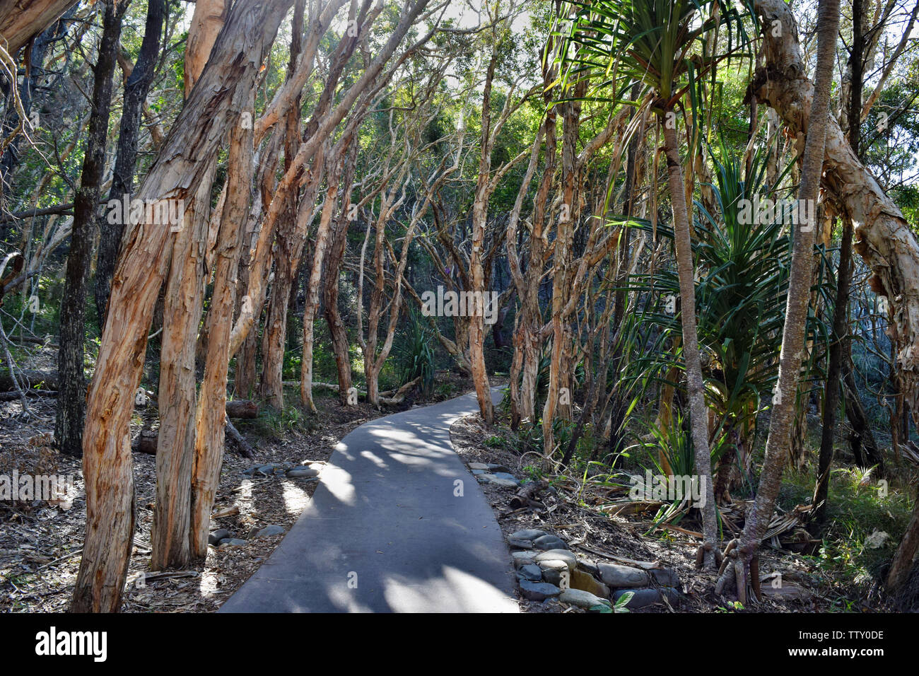 Noosa national park trail hi-res stock photography and images - Alamy
