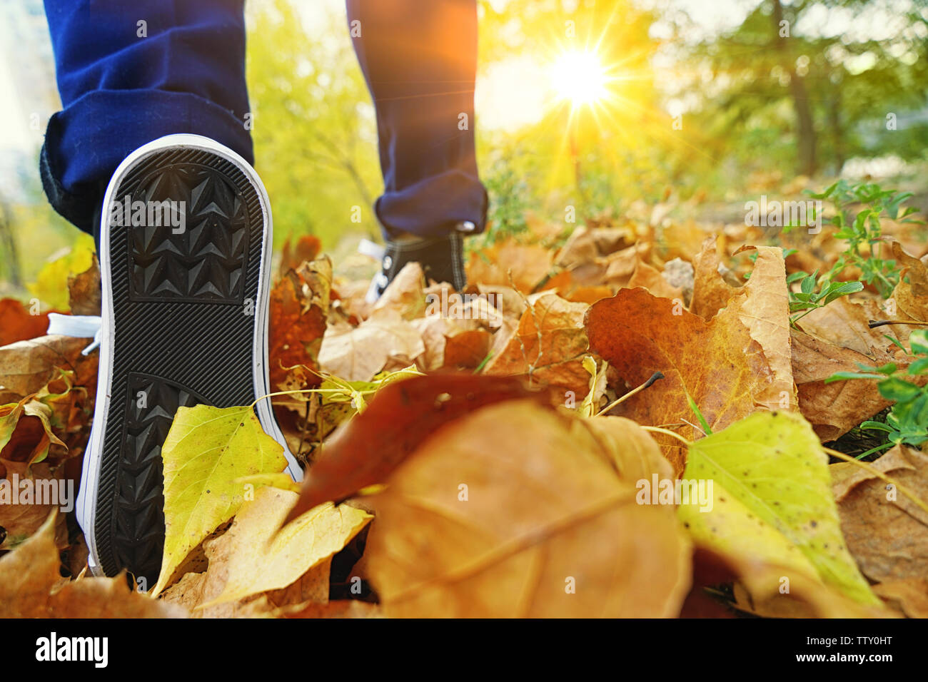 Legs of human walking in autumn park, close up view Stock Photo - Alamy