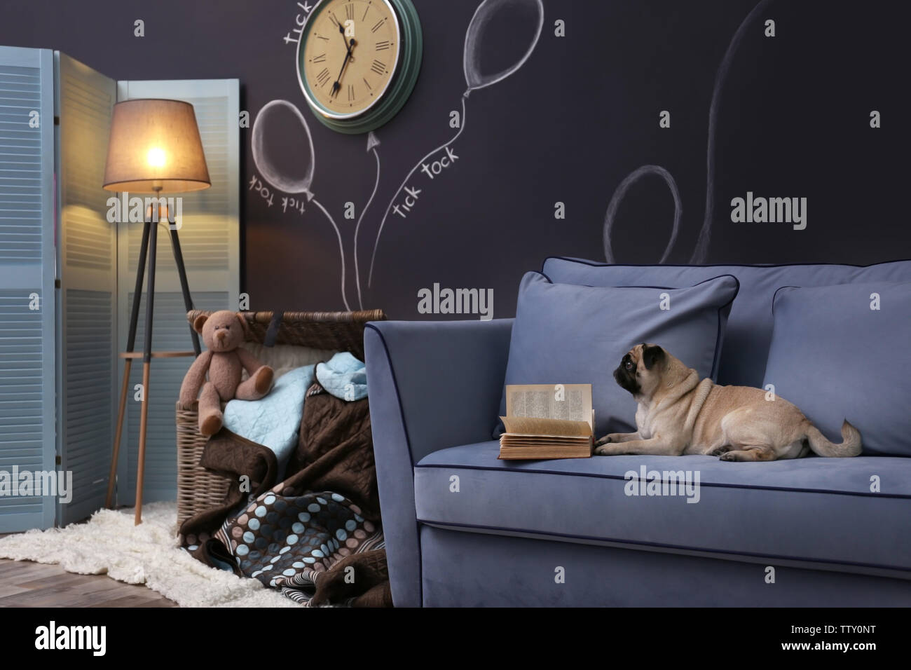 Cute dog on sofa in modern room Stock Photo - Alamy