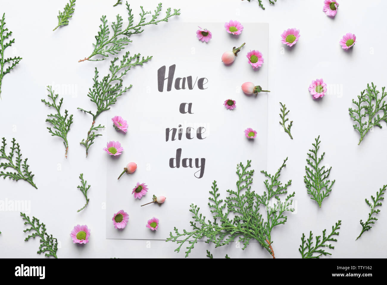 Have a nice day card with flowers hi-res stock photography and images ...