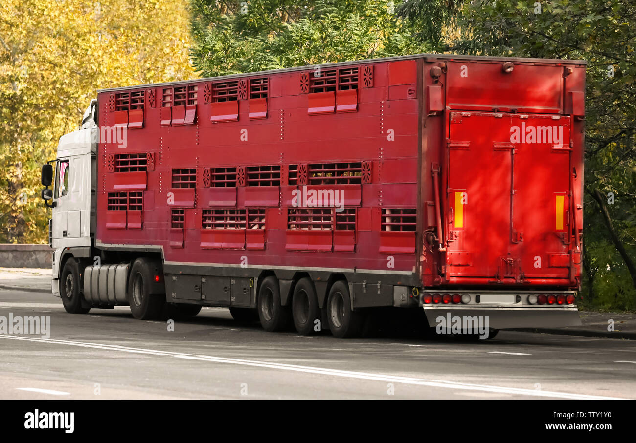Back of American cargo truck Stock Photo - Alamy