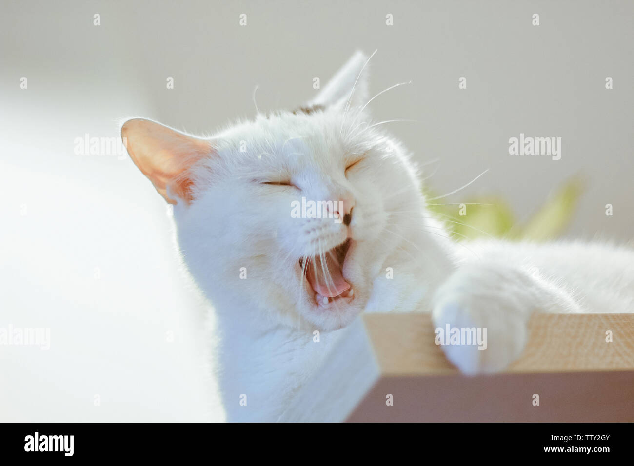 Sensory table hi-res stock photography and images - Alamy