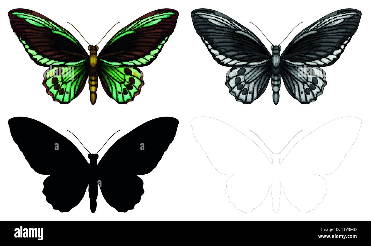 Butterfly character hi-res stock photography and images - Alamy