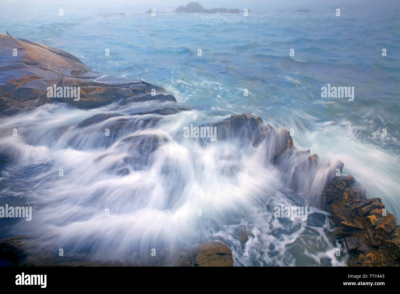 A group of pictures of the soul of the sea Stock Photo - Alamy