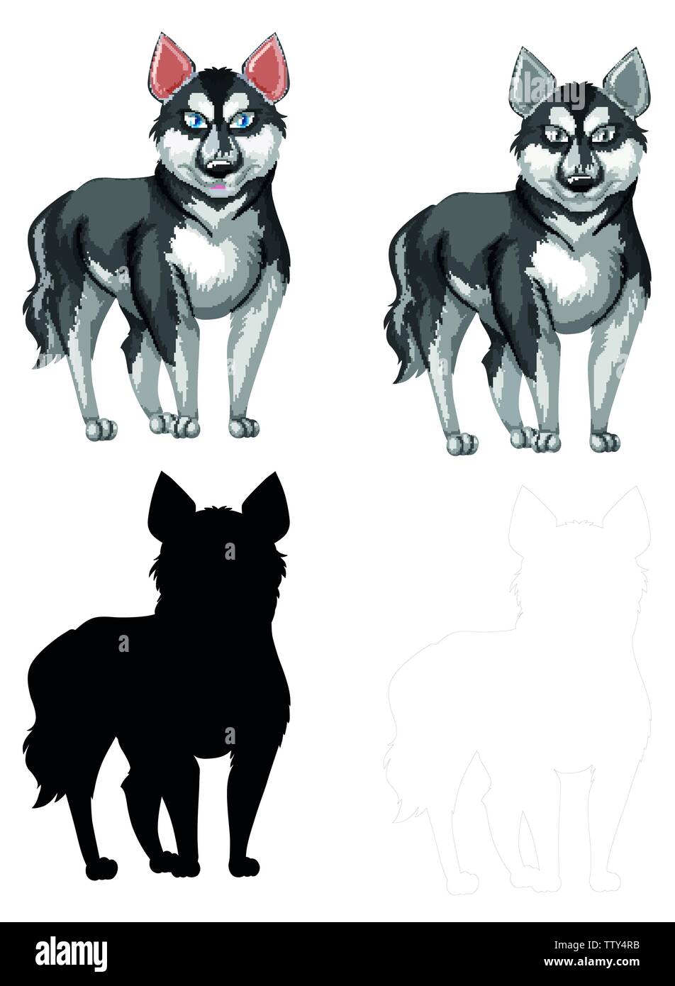 Siberian wolf cartoon dog hi-res stock photography and images - Alamy