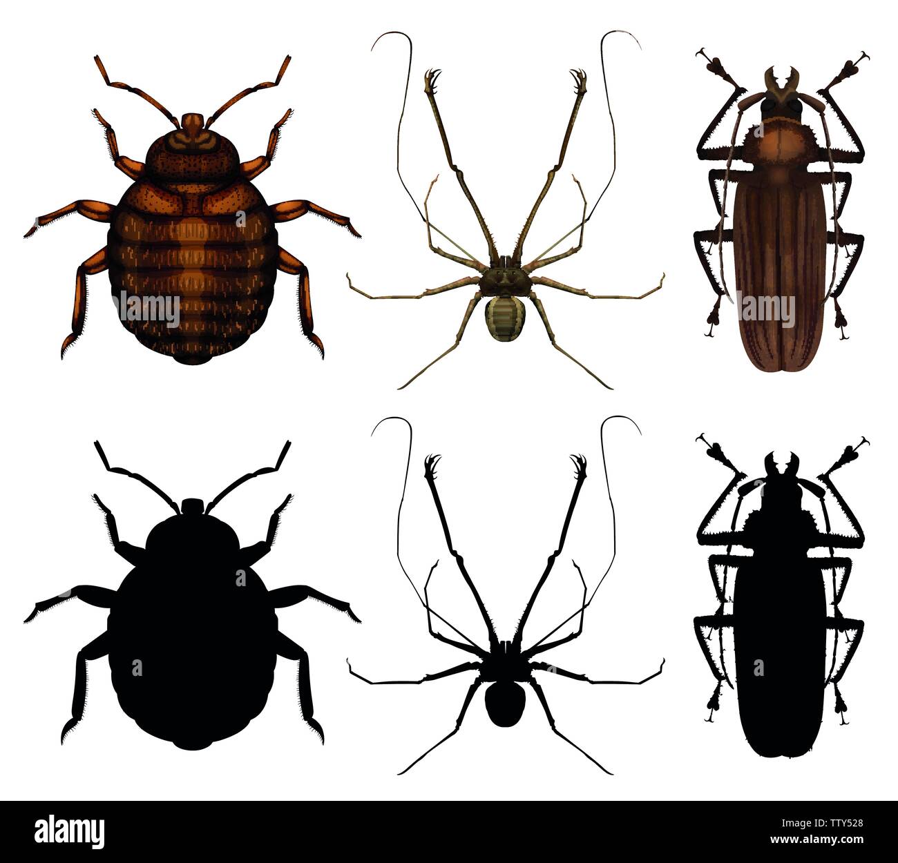 Many insect hi-res stock photography and images - Alamy