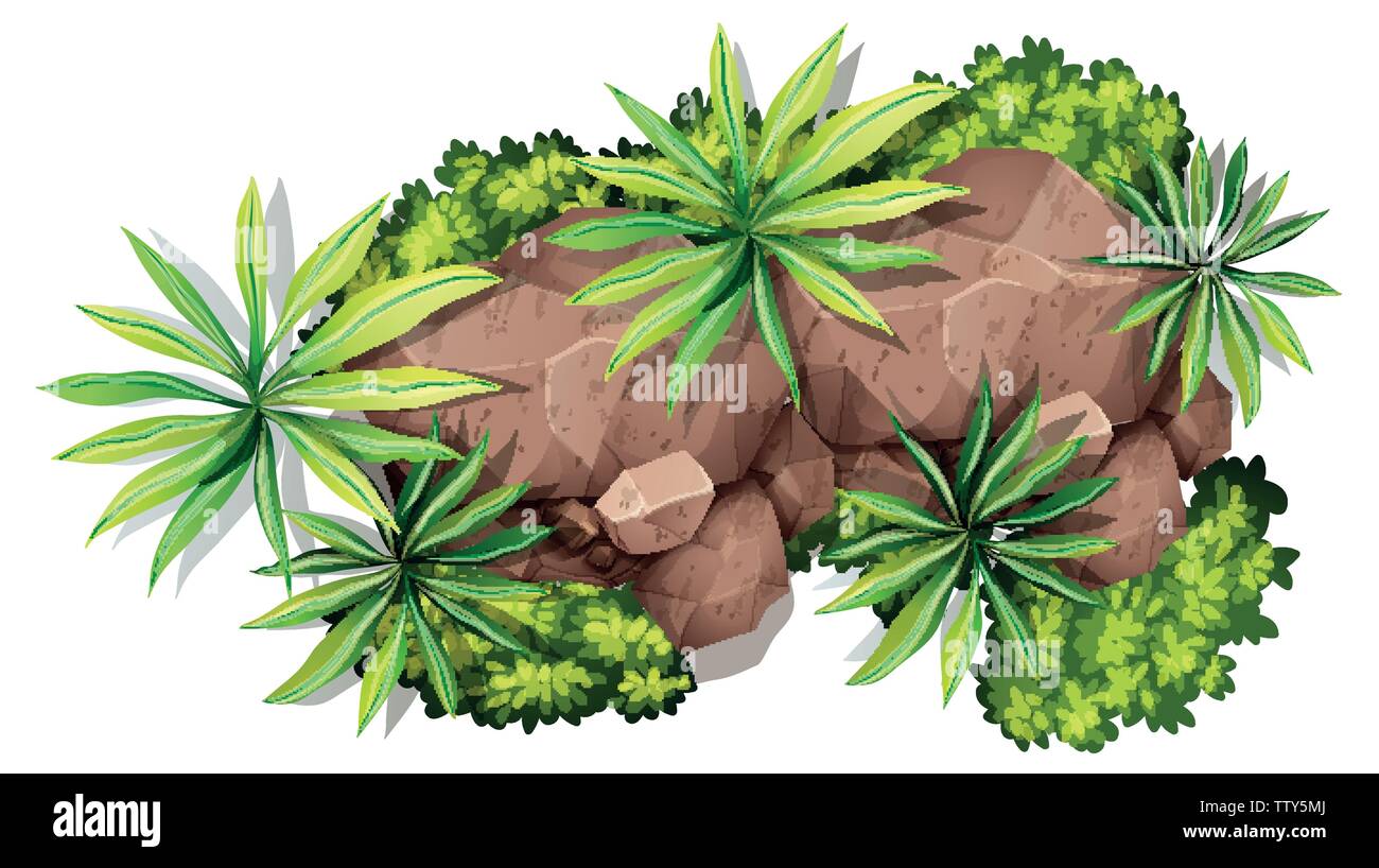 nature and rock aerial view illustration Stock Vector Image & Art - Alamy