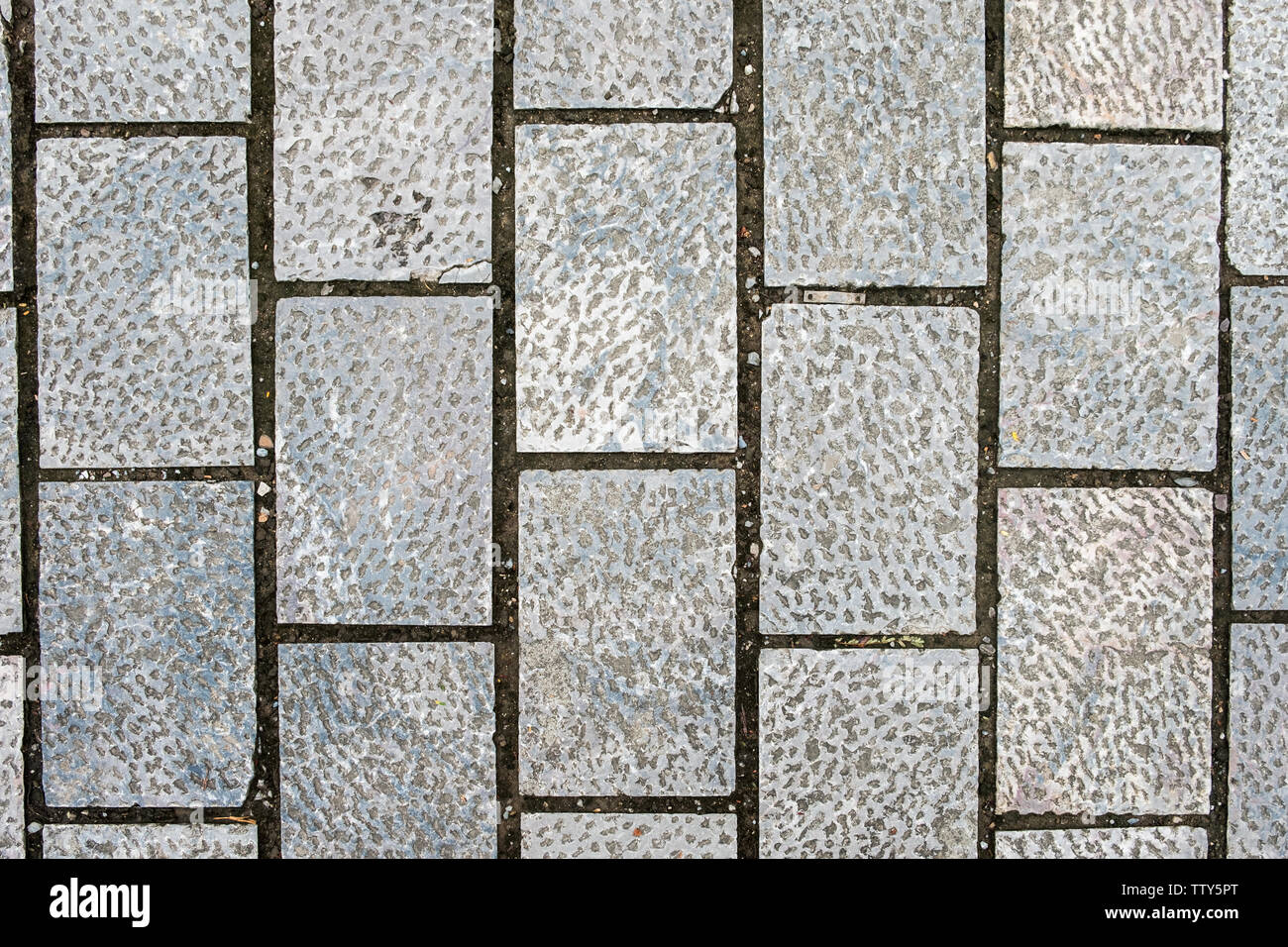 Footpath Tiles Texture