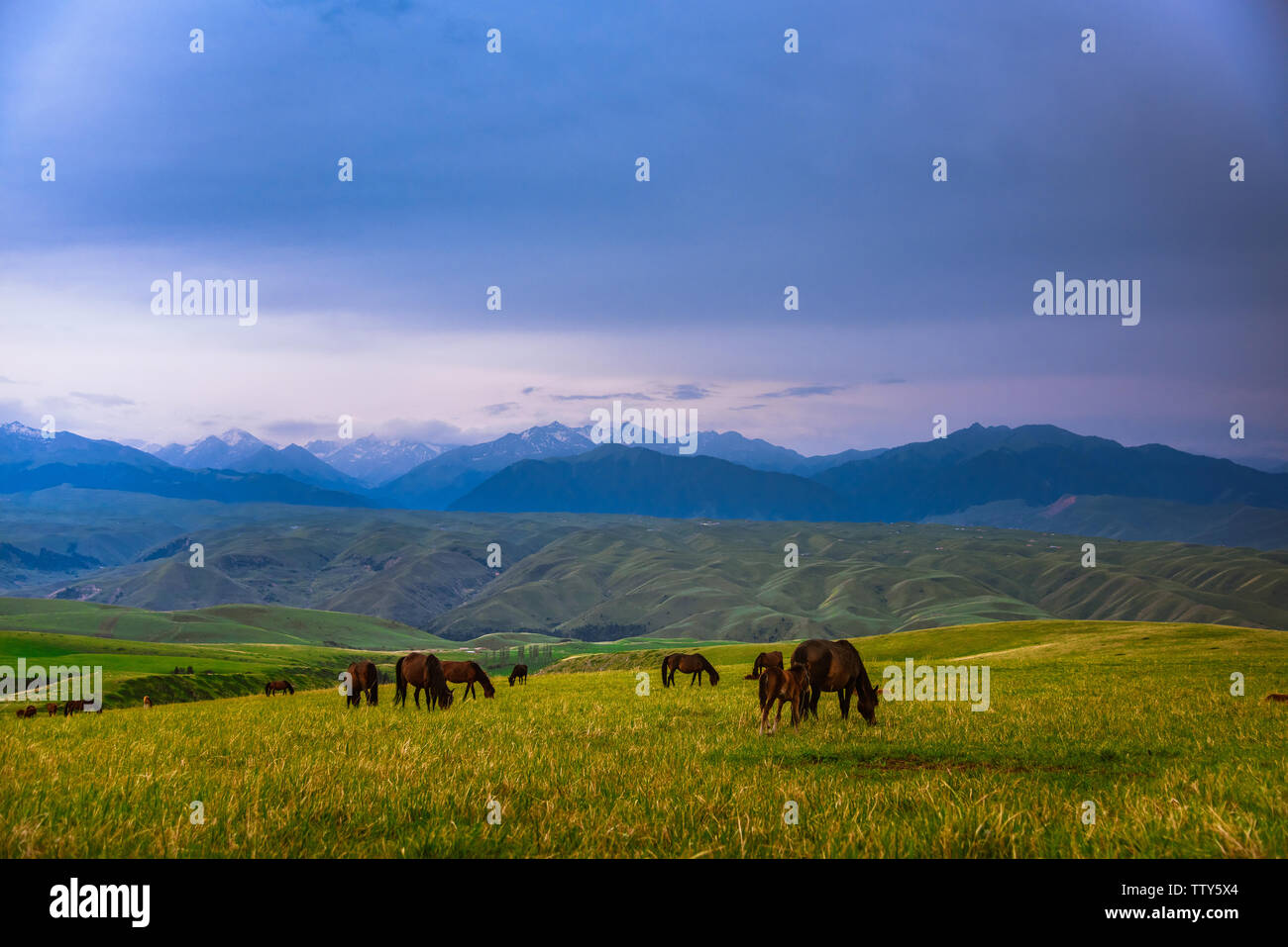 Beautiful scenery of nature in Xinjiang Stock Photo - Alamy