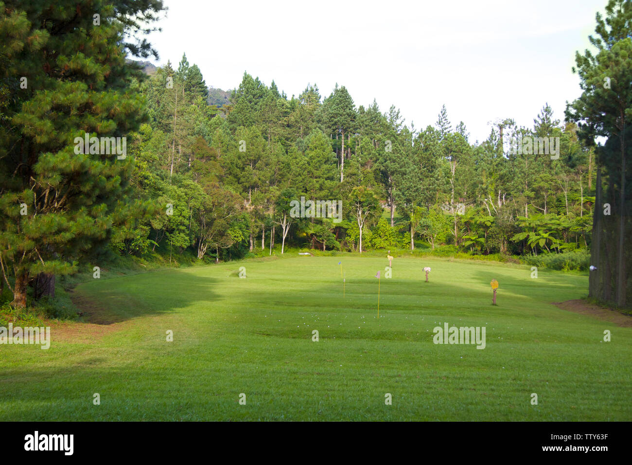 Golf course surrounded by trees Stock Photo - Alamy