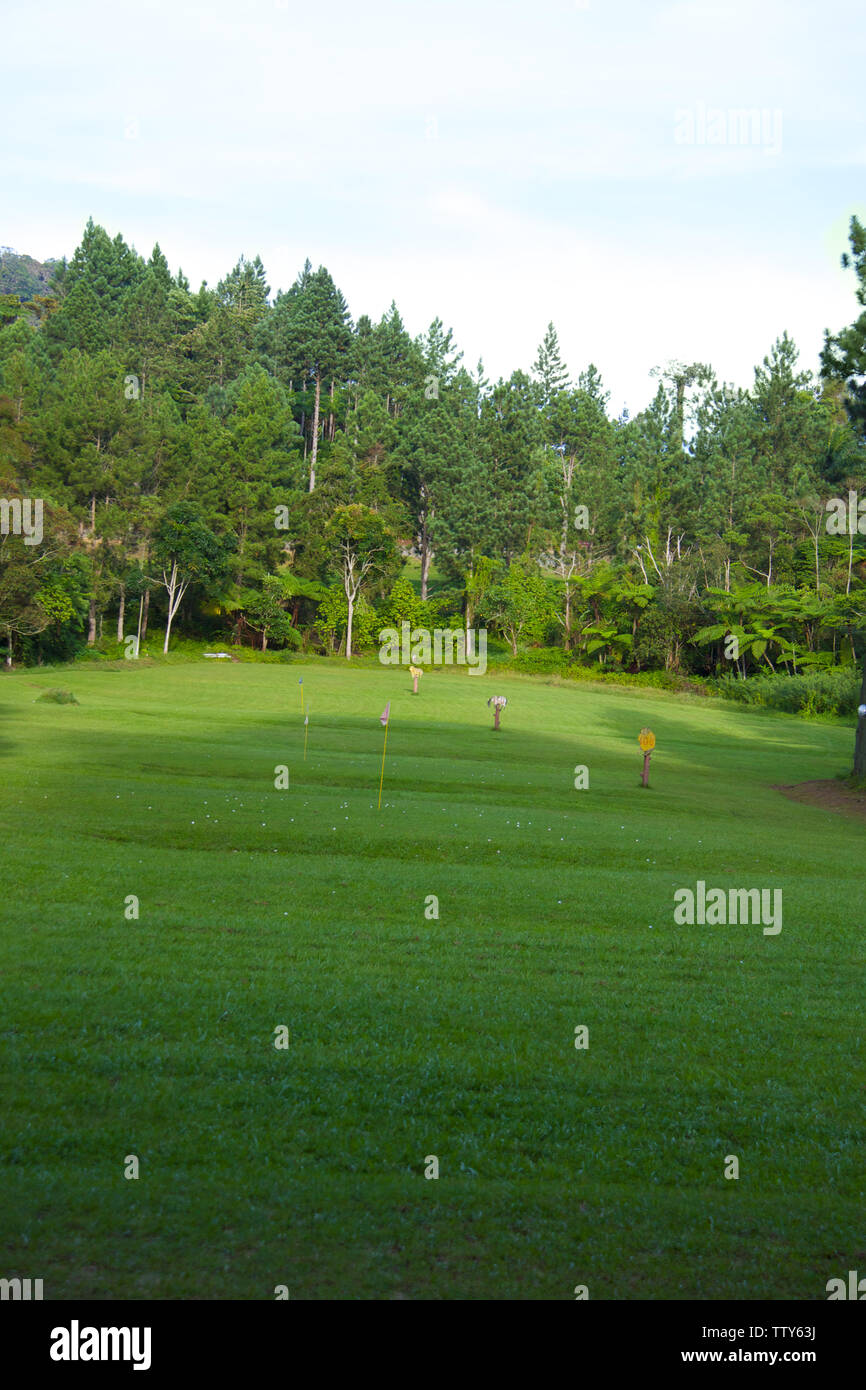 Beautiful golf courses hi-res stock photography and images - Alamy