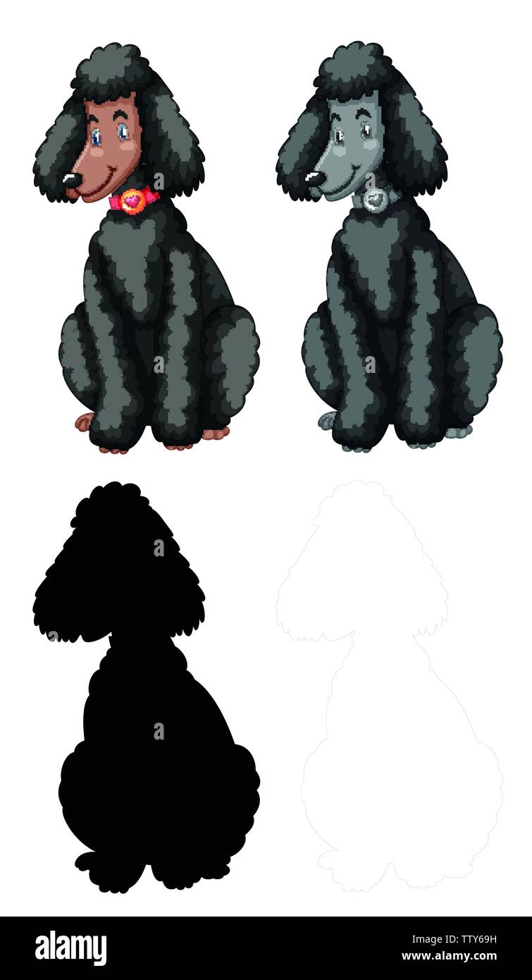 Set of poodle character illustration Stock Vector Image & Art - Alamy