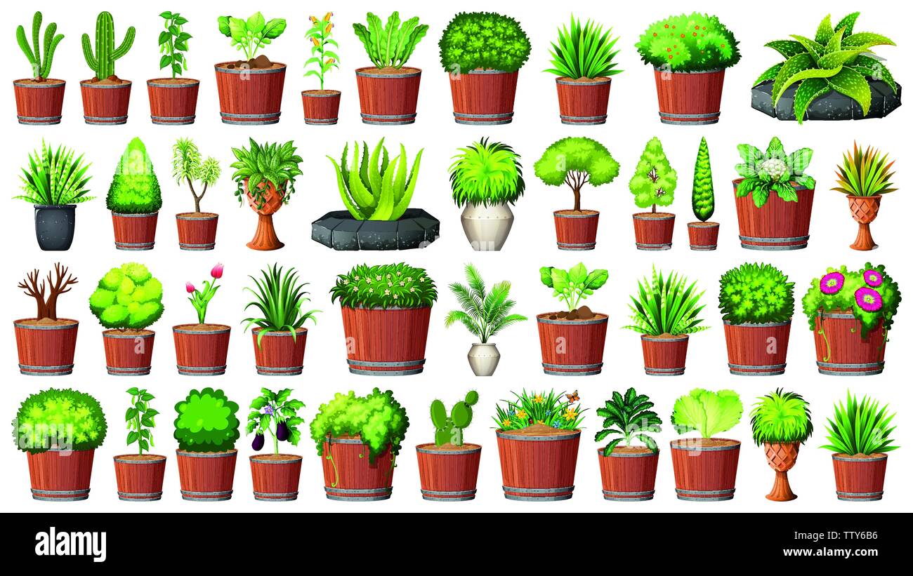 Set different plant pots Cut Out Stock Images & Pictures - Alamy