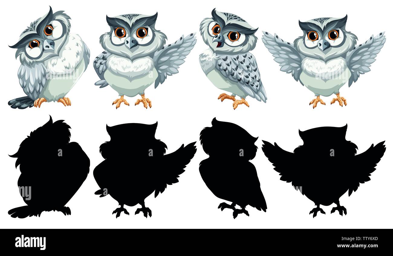 Set of owl character illustration Stock Vector Image & Art - Alamy