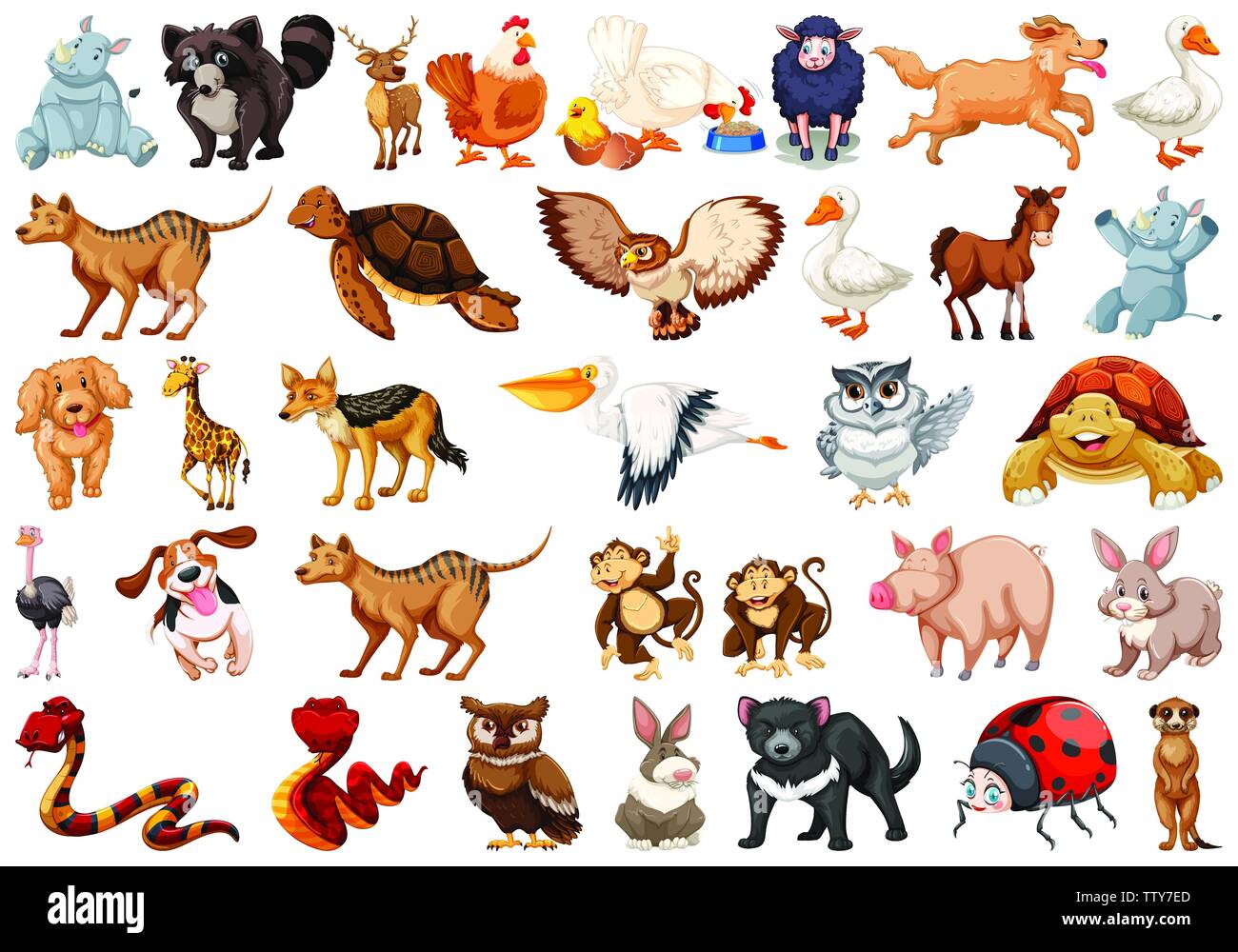 Set of animal character illustration Stock Vector Image & Art - Alamy