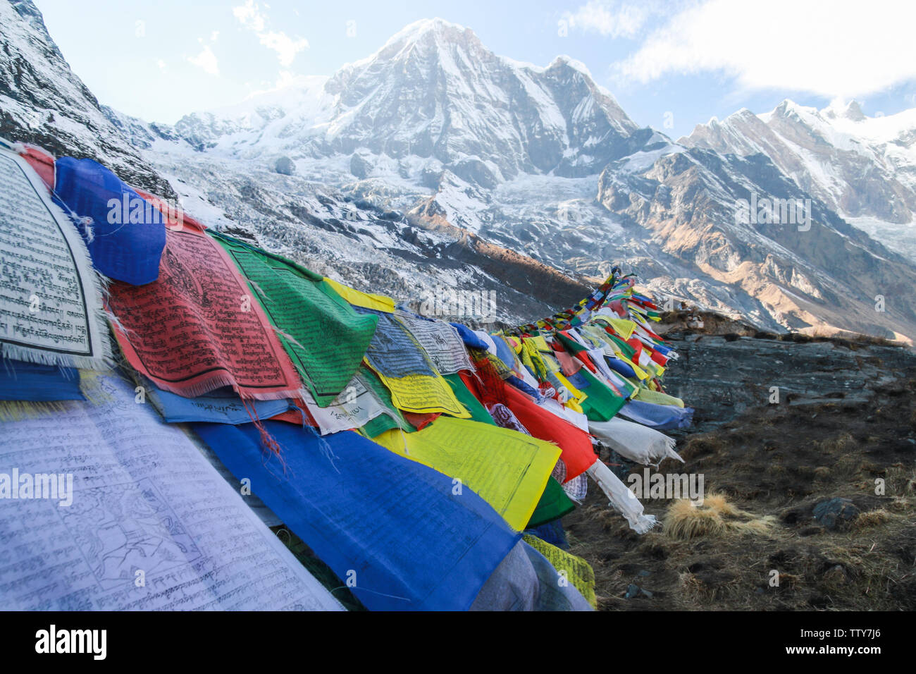 Prayer flags blowing in the wind in the Himalayas Stock Photo - Alamy