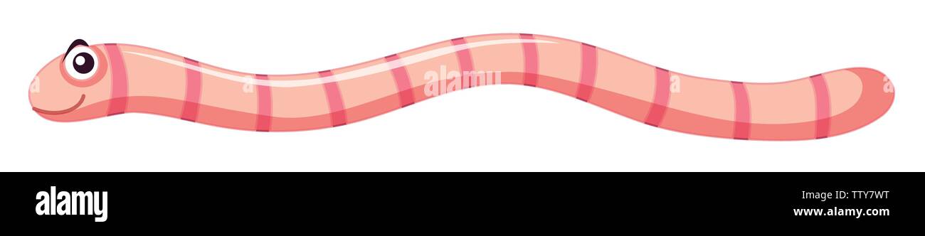 Isolated cute pink worm illustration Stock Vector Image & Art - Alamy