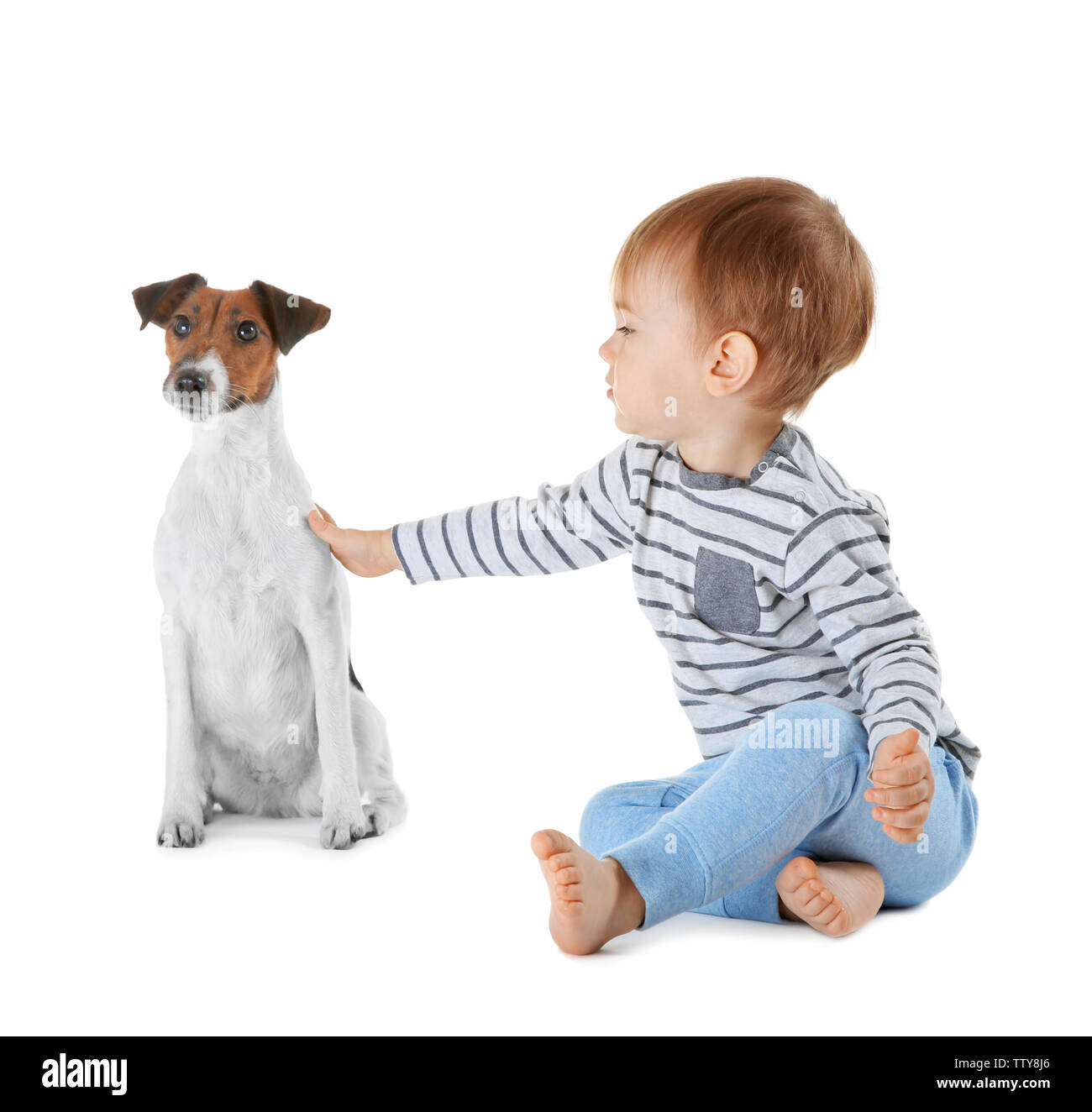 Cute little boy with funny dog on white background Stock Photo - Alamy